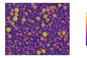 SEM Particle Detector