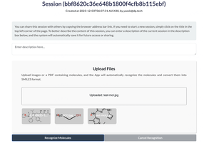 Molecule Image Recognition